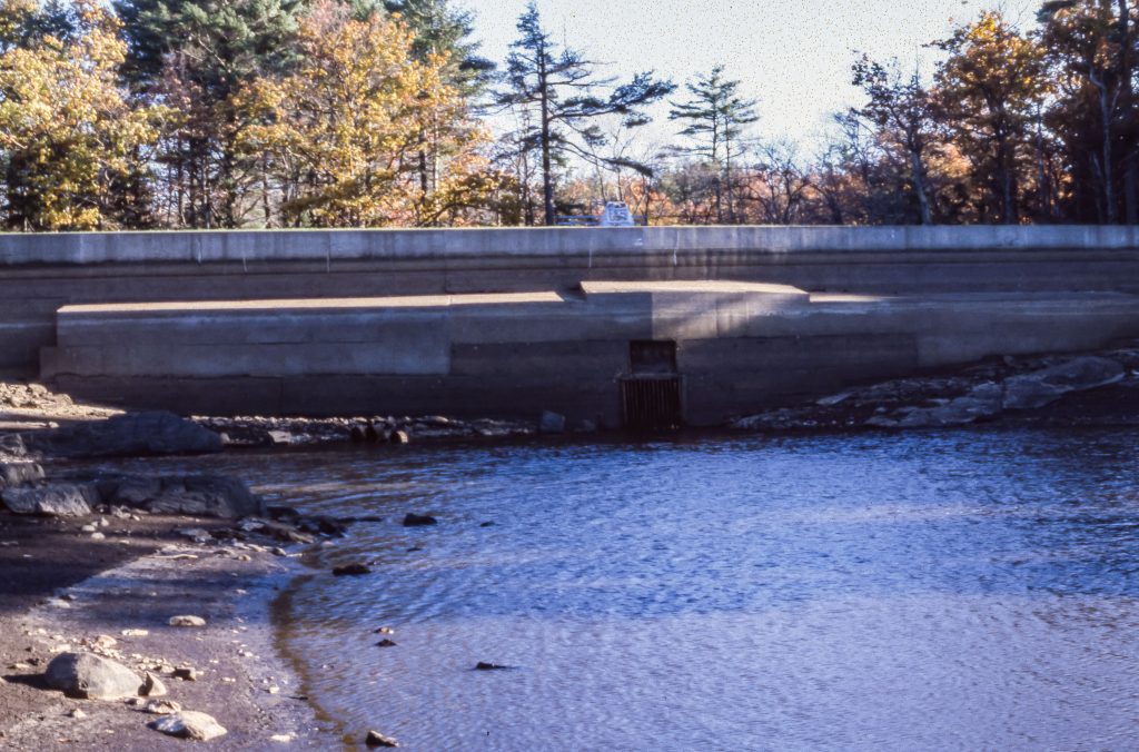 When Drawdown of the Lake Was Really Low - Pawtuckaway Lake Improvement ...