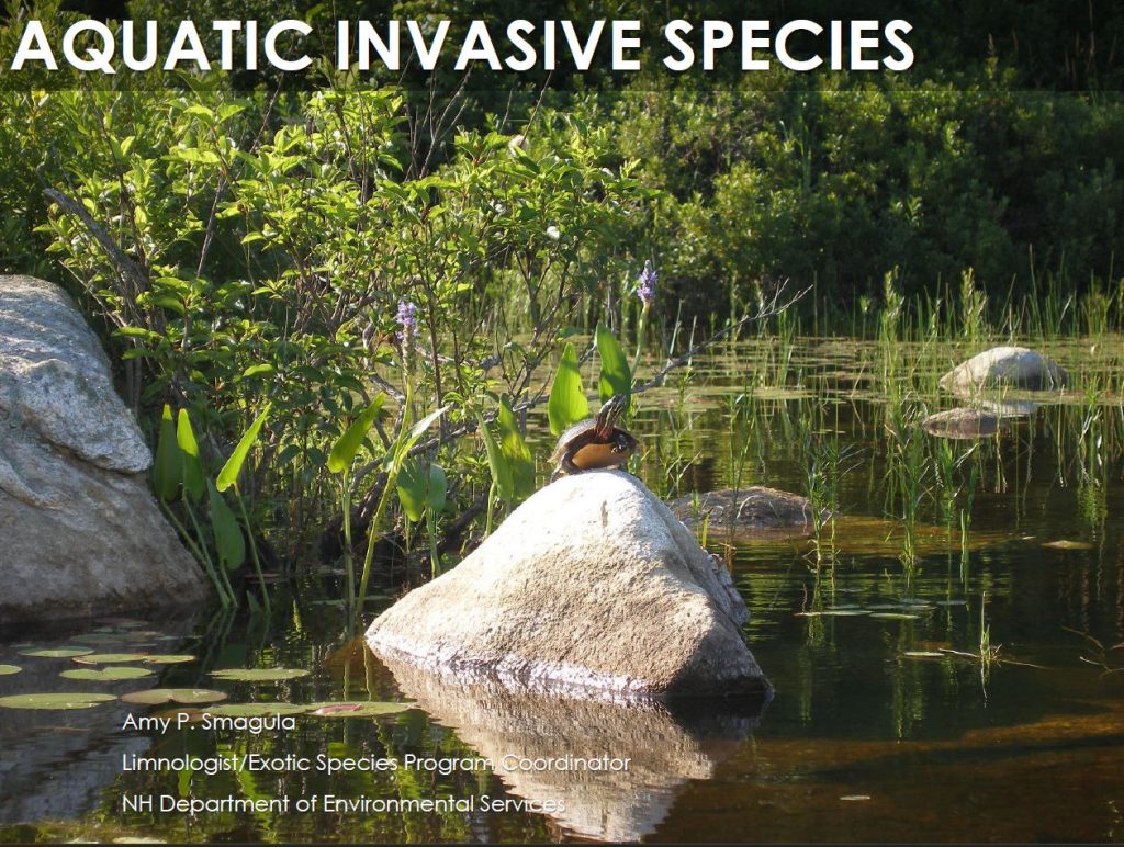 Invasive Aquatic Plants and Animals in and Around Pawtuckaway ...